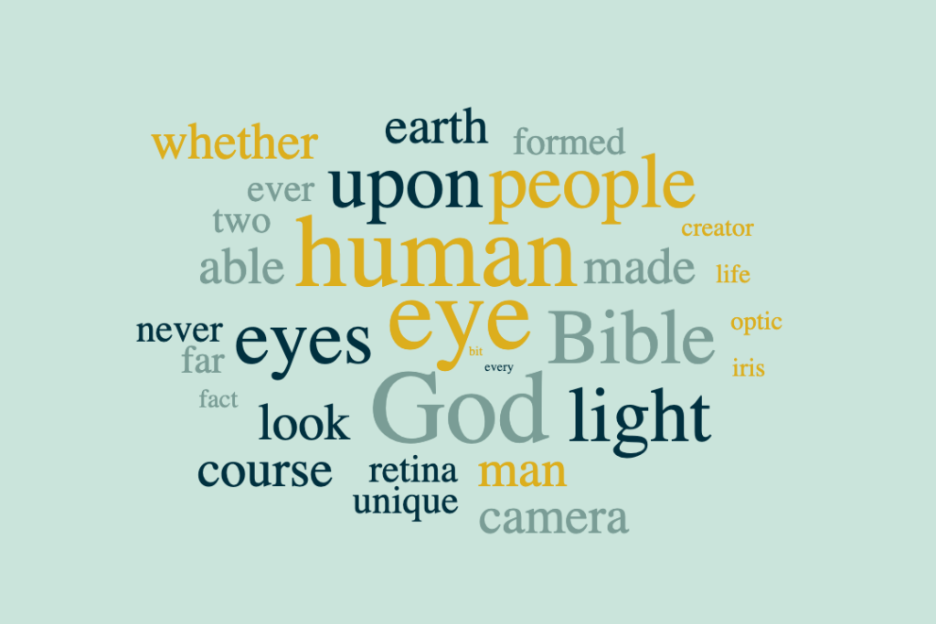 The Human Eye: A Miracle of Creation - ScriptureScribe Christadelphian ...